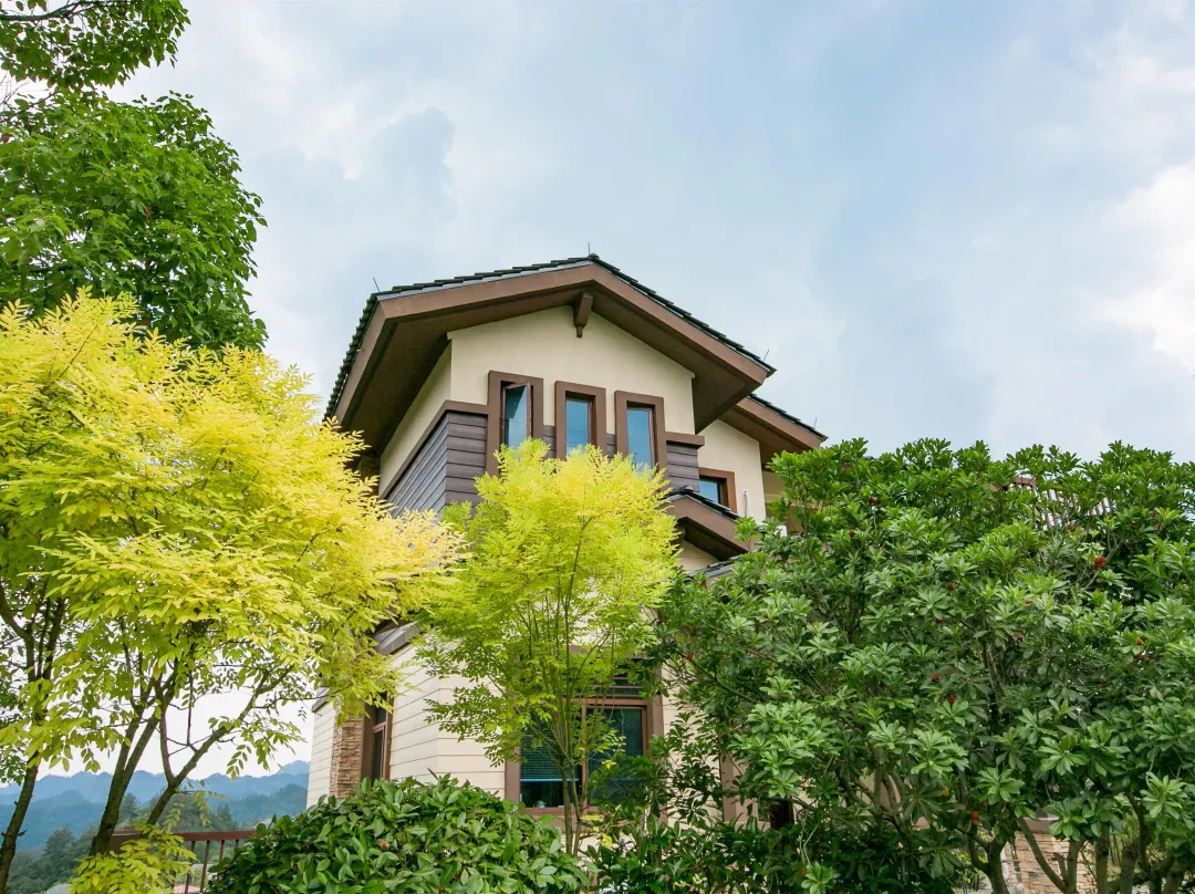 Zhangjiajie Cloudy Valley Villa Hotel - Zhangjiajie
