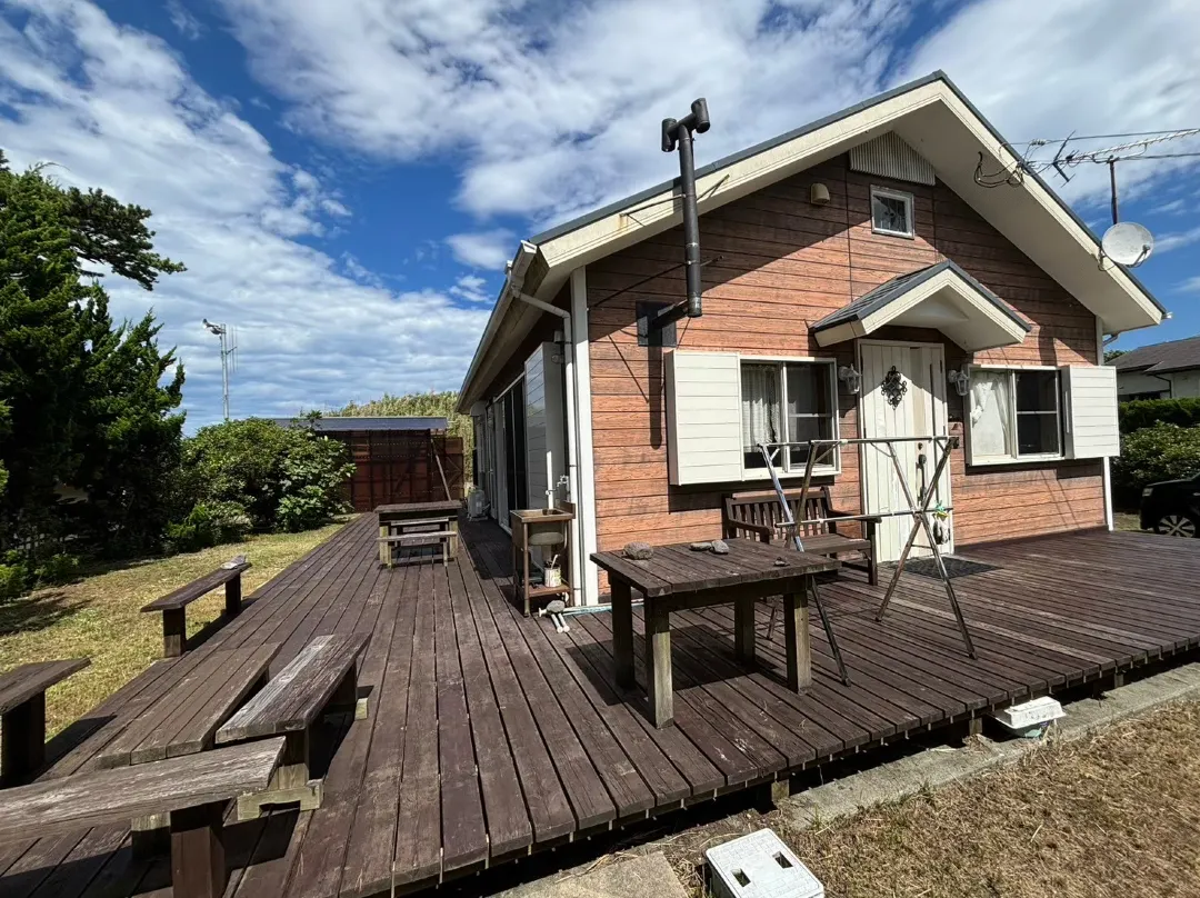 Tsubaki - 伊豆大島