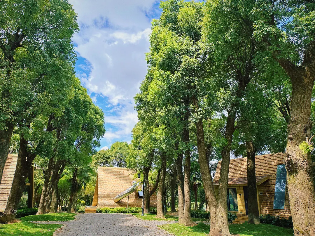 Wenzhou Fennie Te'en Forest Farm - Wenzhou