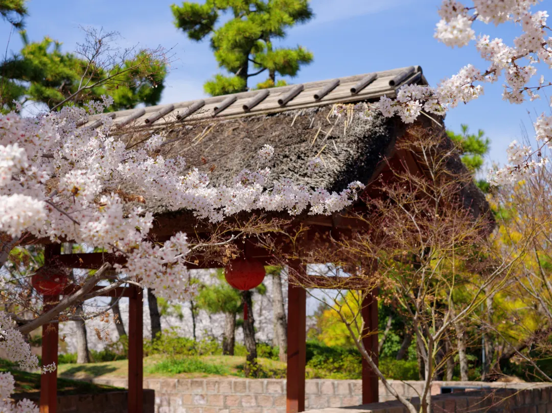 Zhongnan Jingzhuang Hot Spring Resort - Xi'An