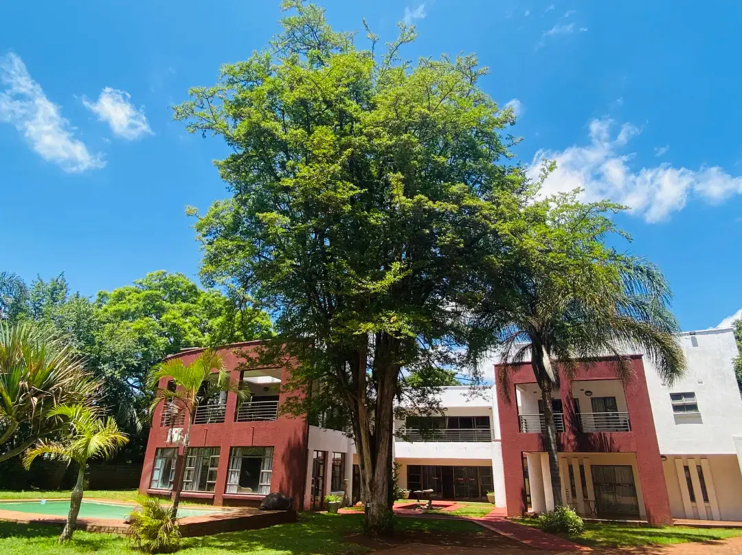 Lou Wai Lou Mansions - Harare