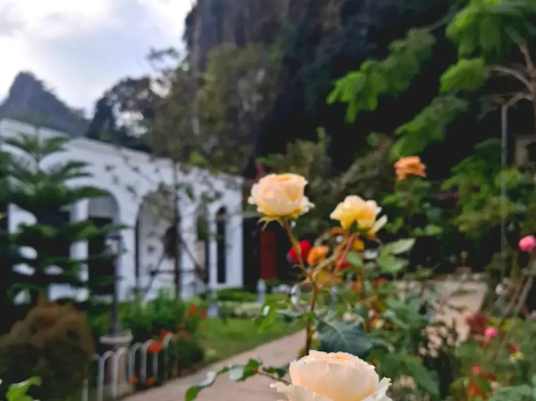 Vrapat - Chiang Dao