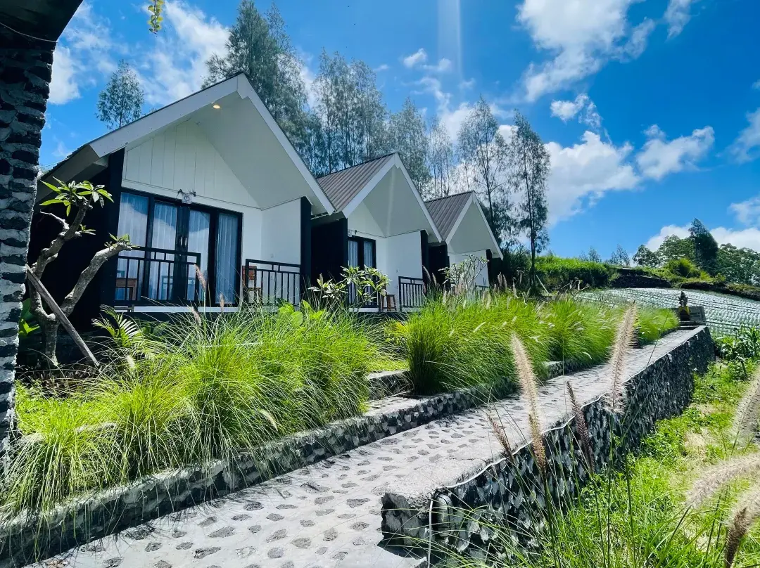 The Iris Kintamani - Kintamani