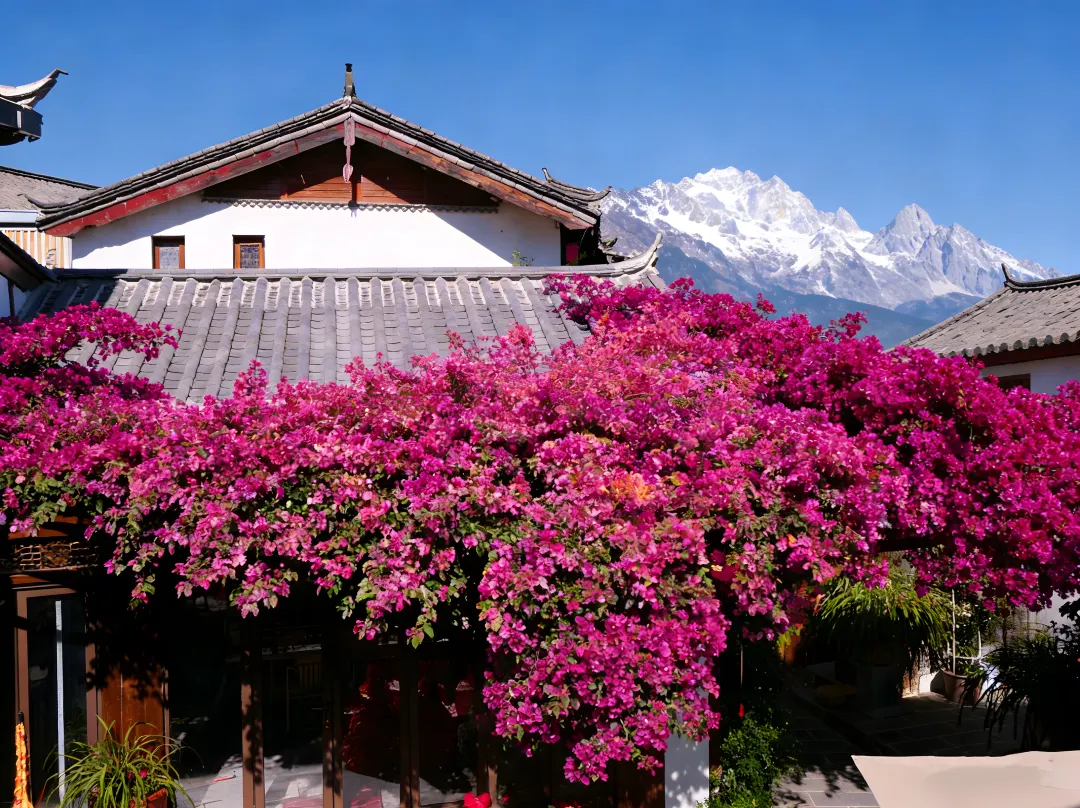 Bashilai Inn - Lijiang
