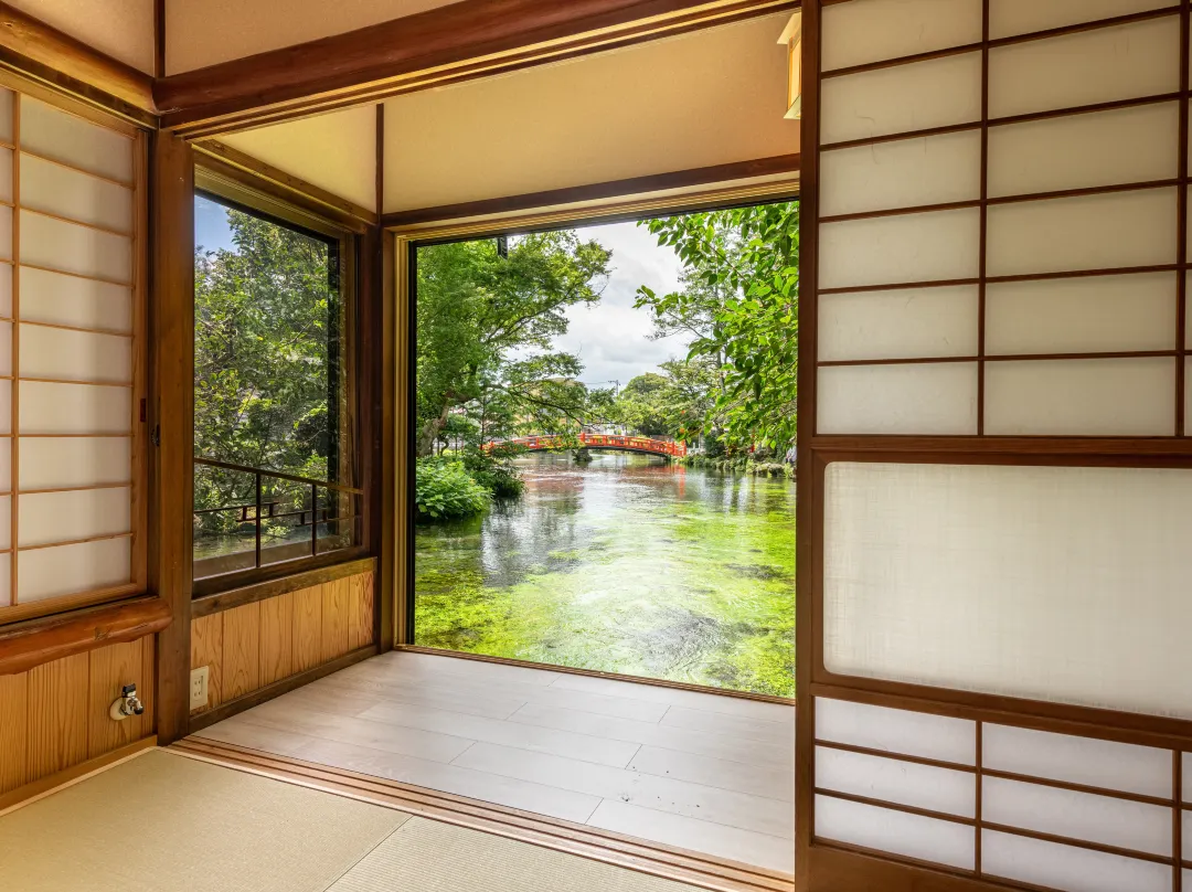 Kikusui-shizuoka - Fuji