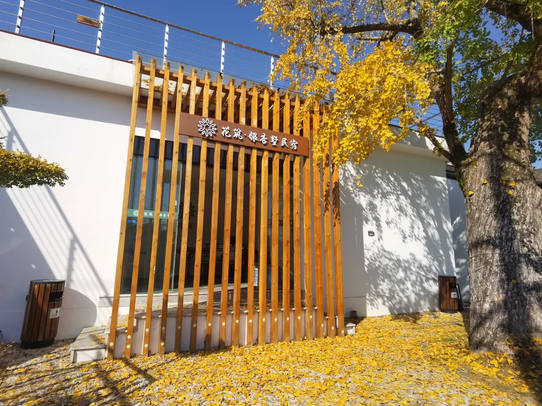 Floral Hotel·ginkgo Villa Homestay - Suzhou