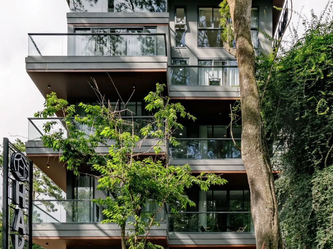 Haku Boutique Hotel Da Lat - Ly Tu Trong - Thành phố Đà Lạt