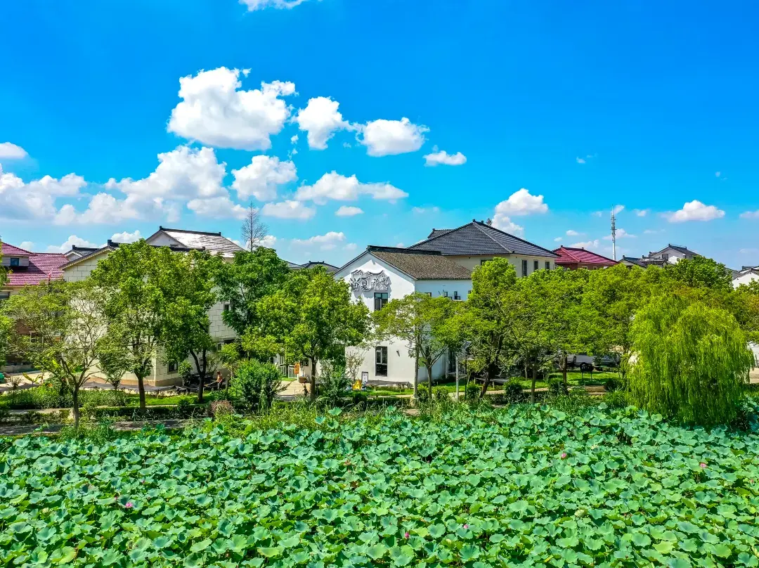 Dianshan Lake Liuxia Shiguang Homestay(cai Bang Cun Store ) - Shanghai