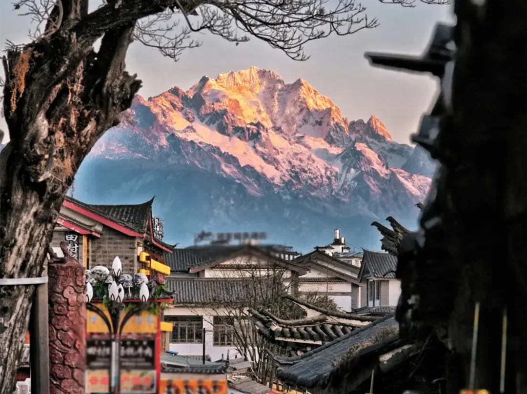 Yushu·seat 306·aesthetic Color Garden Courtyard Meisu - Lijiang