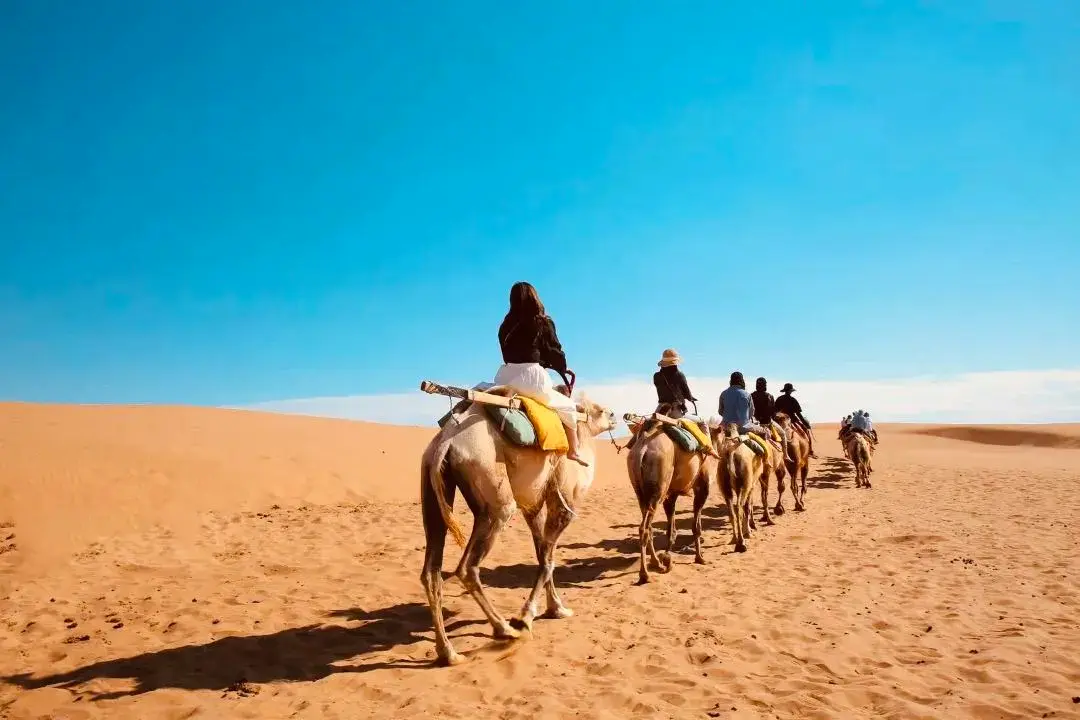Shapotou Bantuan Camping Camp - Zhongwei