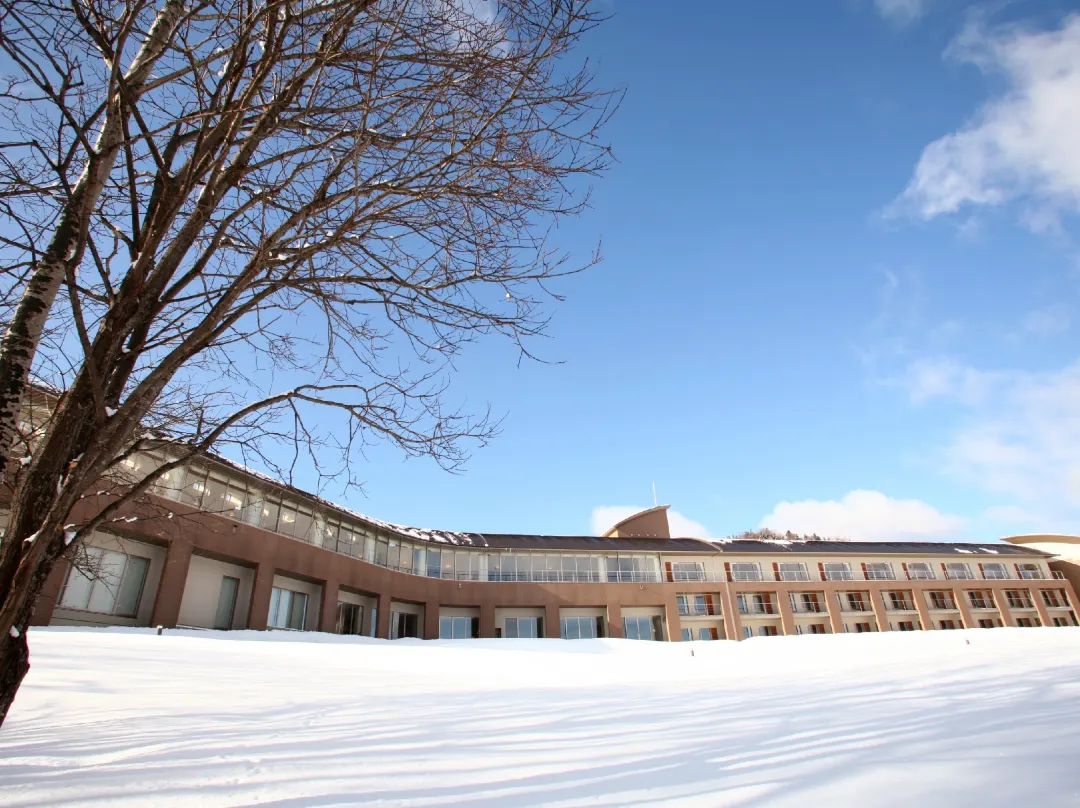 Furano Hotel - Furano
