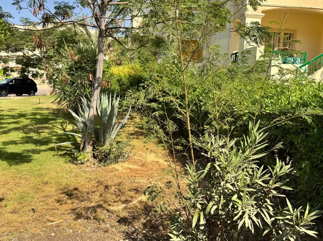 Beautiful Khamayel Retreat 2br Ground Floor - Egipt