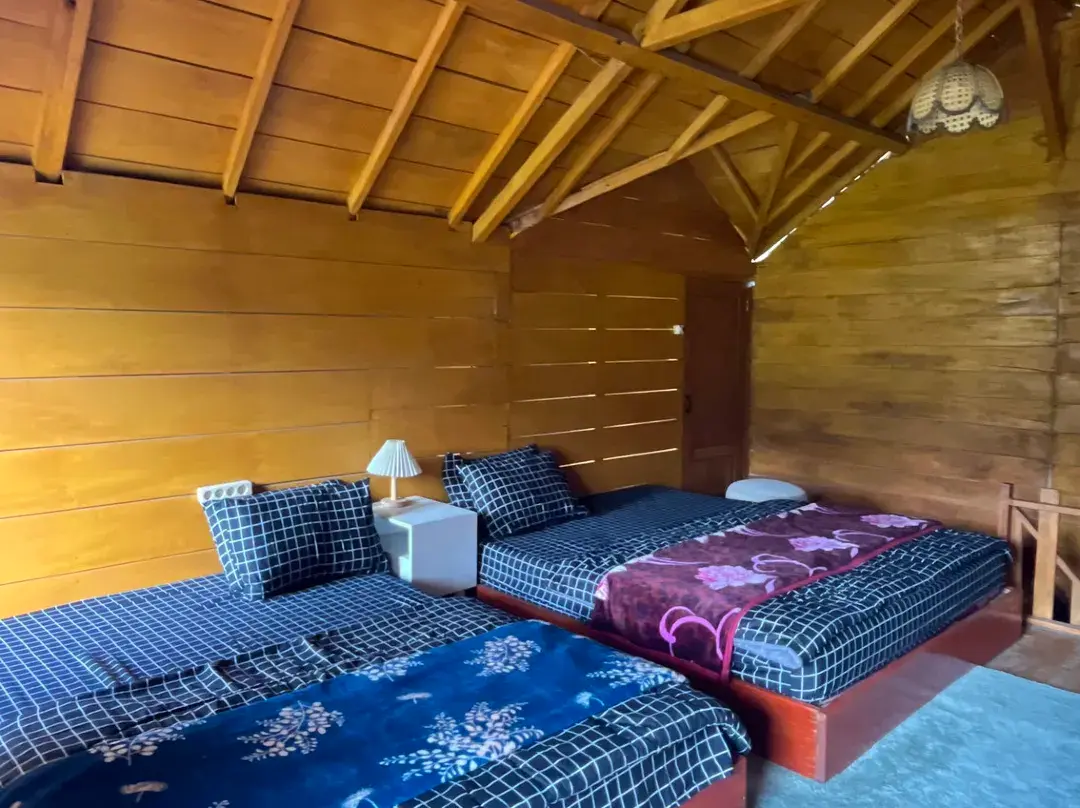 Quen'z Cabin - Dieng