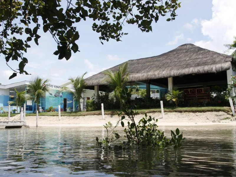 Ariella Mangrove & Eco Resort By Hiverooms - Alcoy