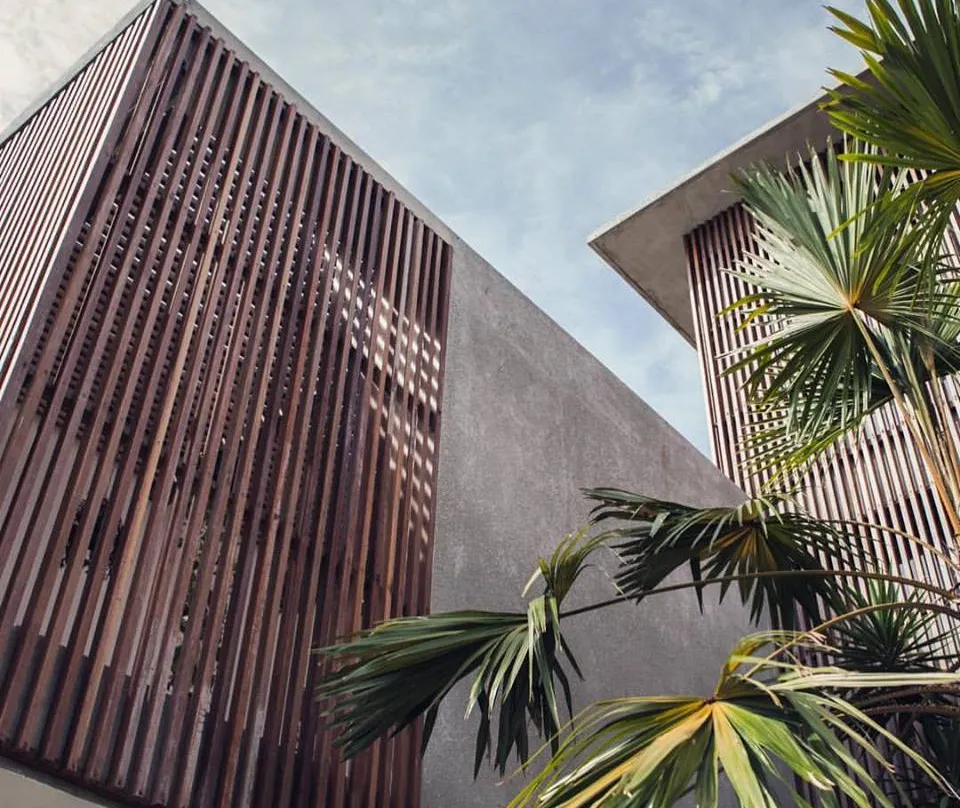 The Slow - Canggu