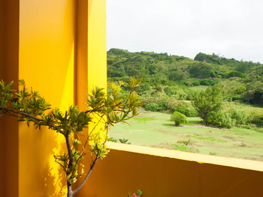Shen's Village Hotel Bali - Checheng