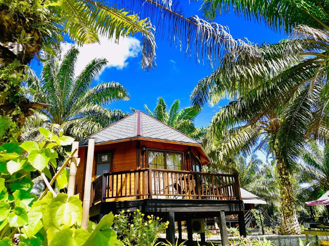 Perfect Forest Eco-resort - Semporna