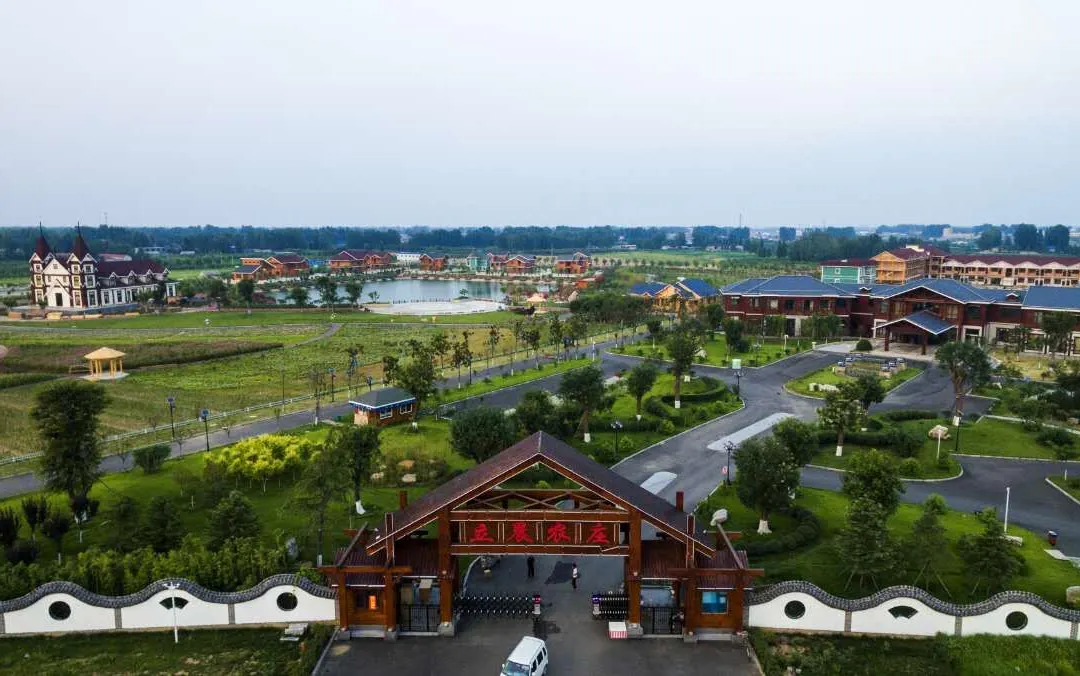 Lichen Farm - Linyi
