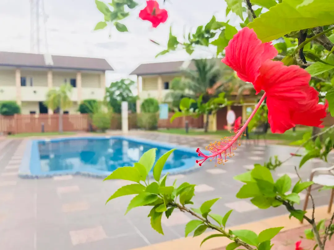 Adina Drive-in Motel Cenang - Managed By Shell Out Resort - Pantai Cenang