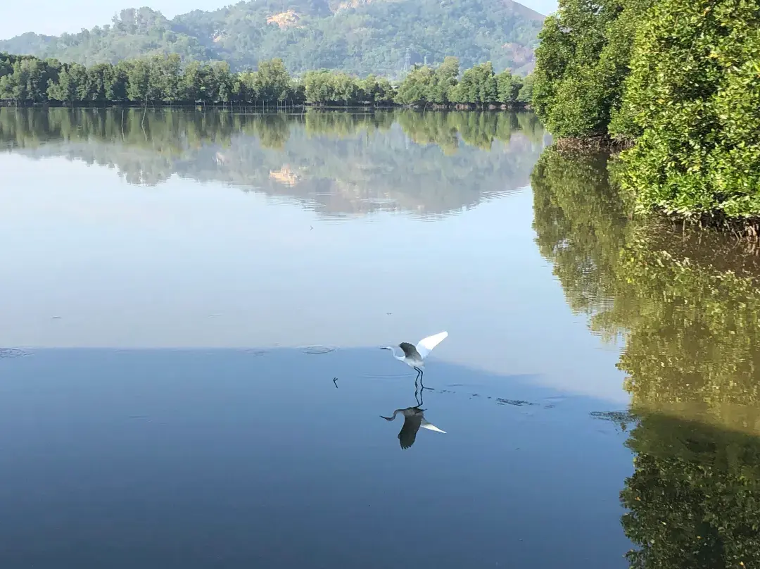 Gayang Friendly Water House Homestay - Kota Kinabalu