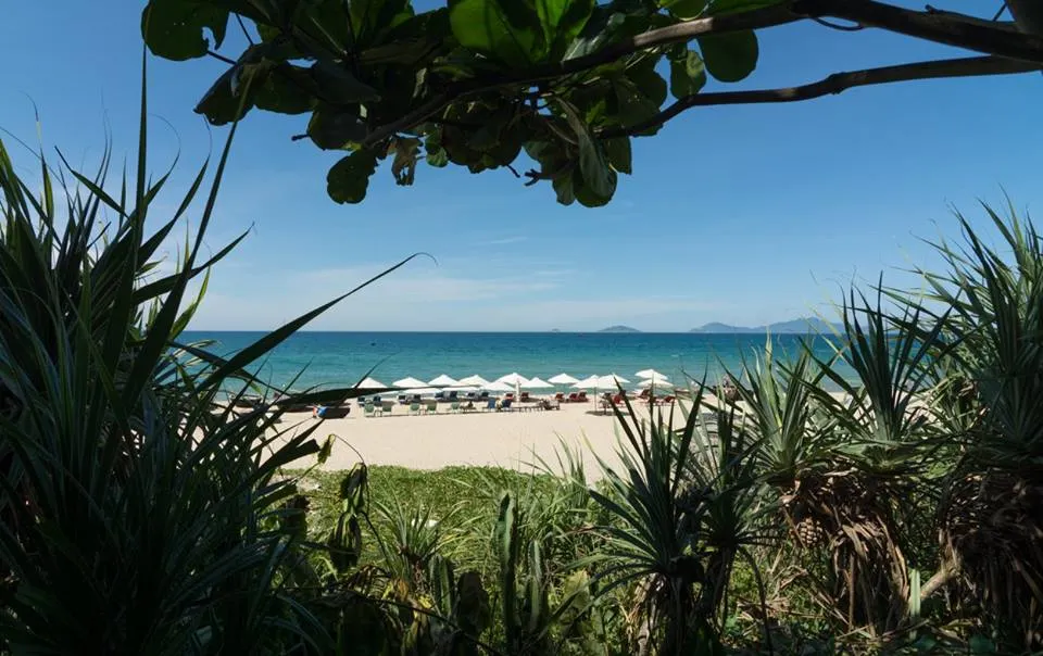 Local Beach Homestay - Hội An