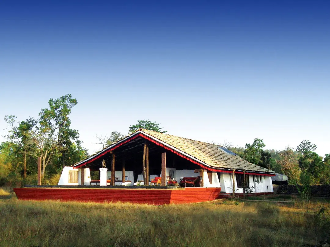 Monsoon Forest - Chhattisgarh