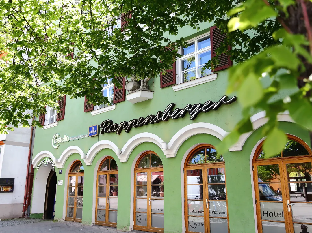 Hotel Rappensberger - Ingolstadt