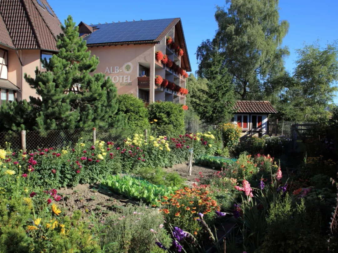 Albhotel Bauder - Bad Urach