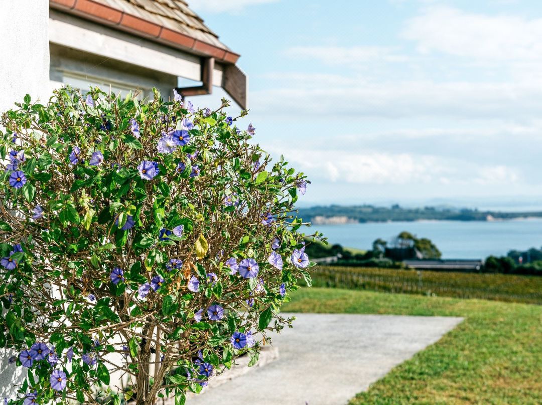 Mudbrick Cottages - Waiheke Island
