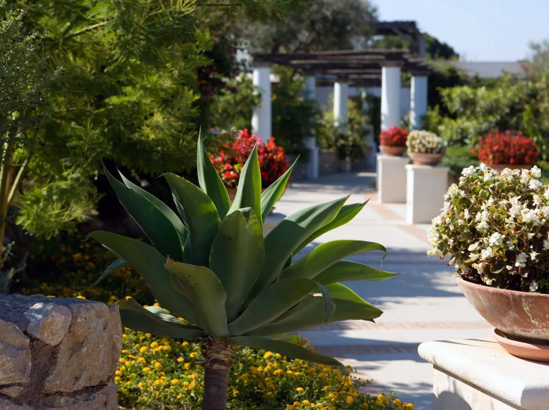 Hotel Al Mulino - Capri (island)